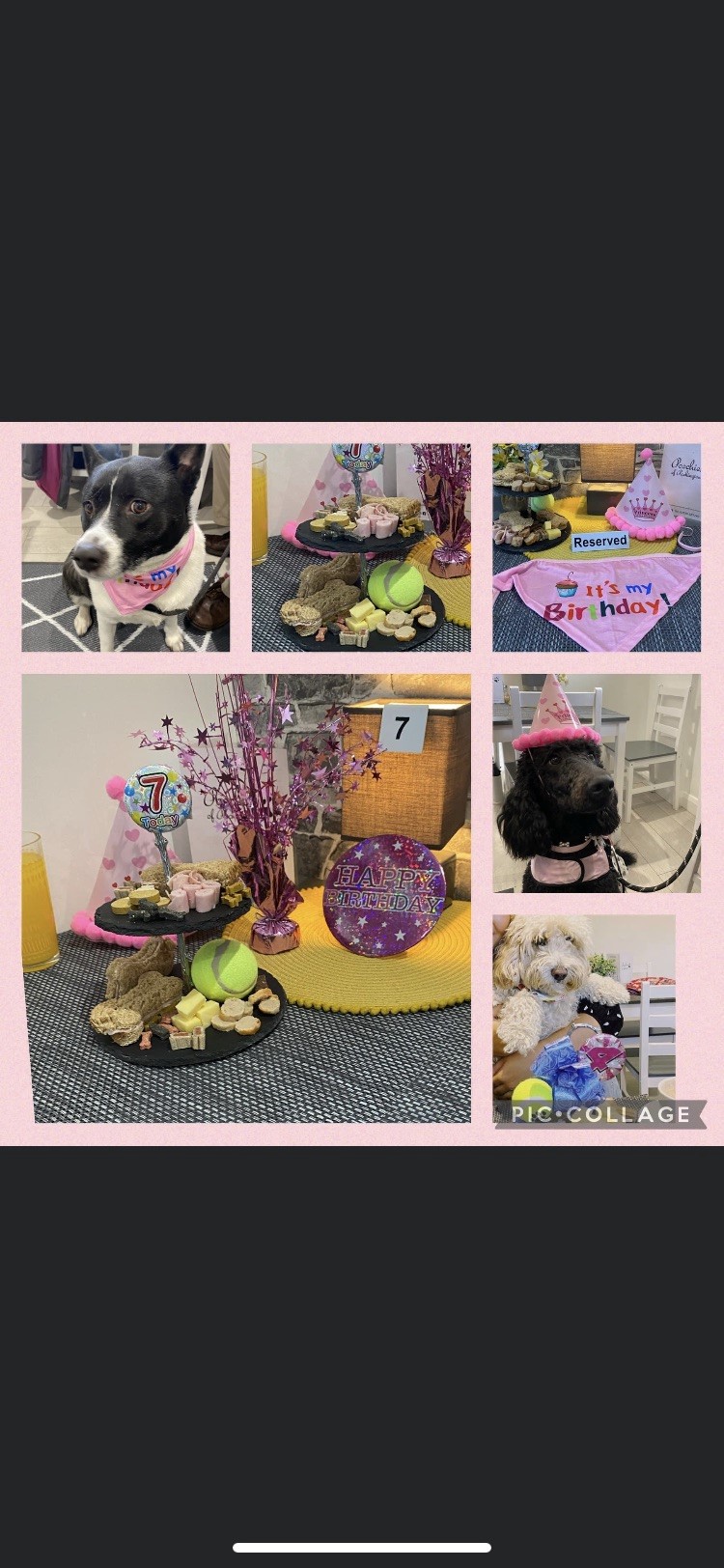 Poochies of Packington - Visit NWL